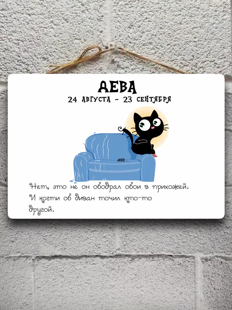 Котики постер