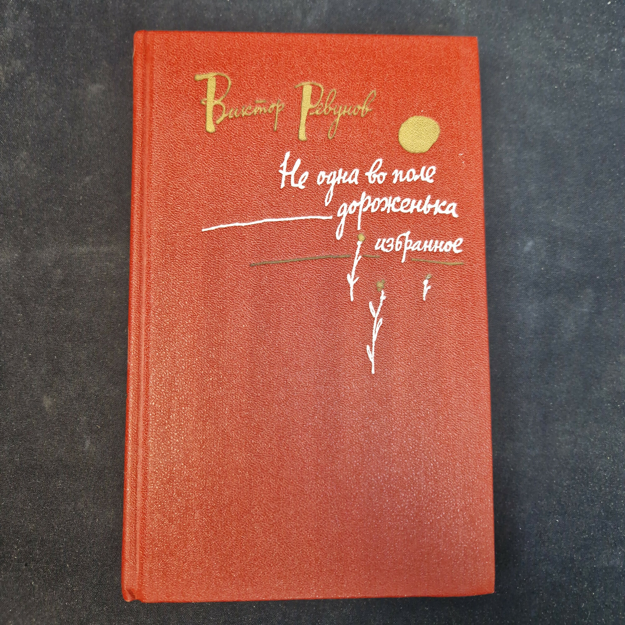 Виктор Ревзин. Не одна во поле дороженька. Книга. Сборник рассказов и повестей.