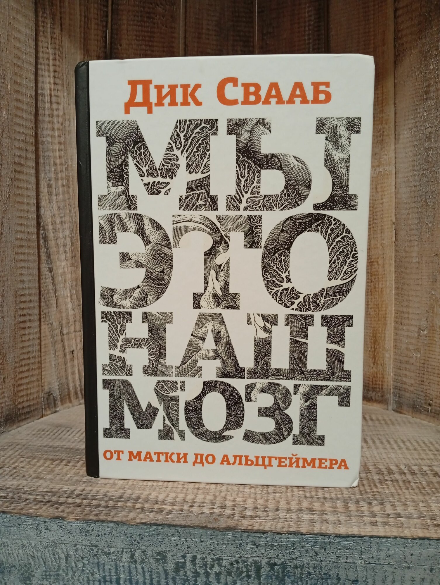 Мы это наш мозг. Оригинал