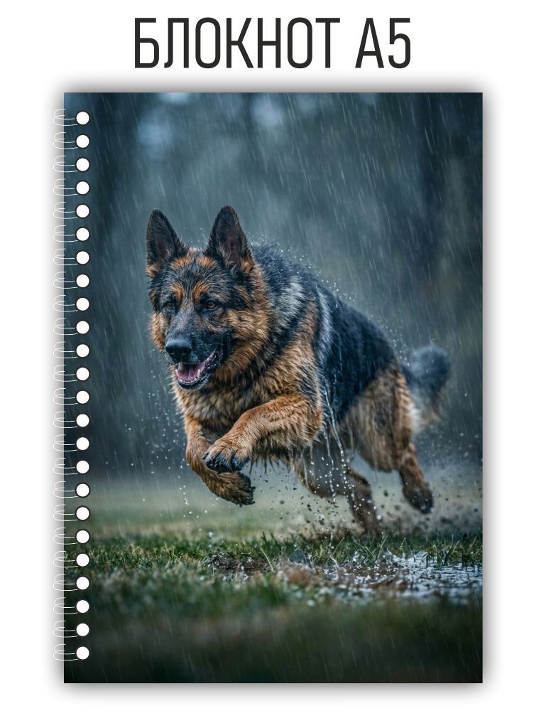 Блокнот А5 Животные, Собаки, Немецкая овчарка, German Shepherd (1)
