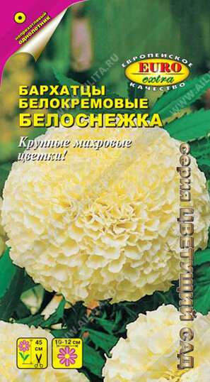 Семена бархатцев аэлита "Белоснежка", однолетние, цветы, 0,05г