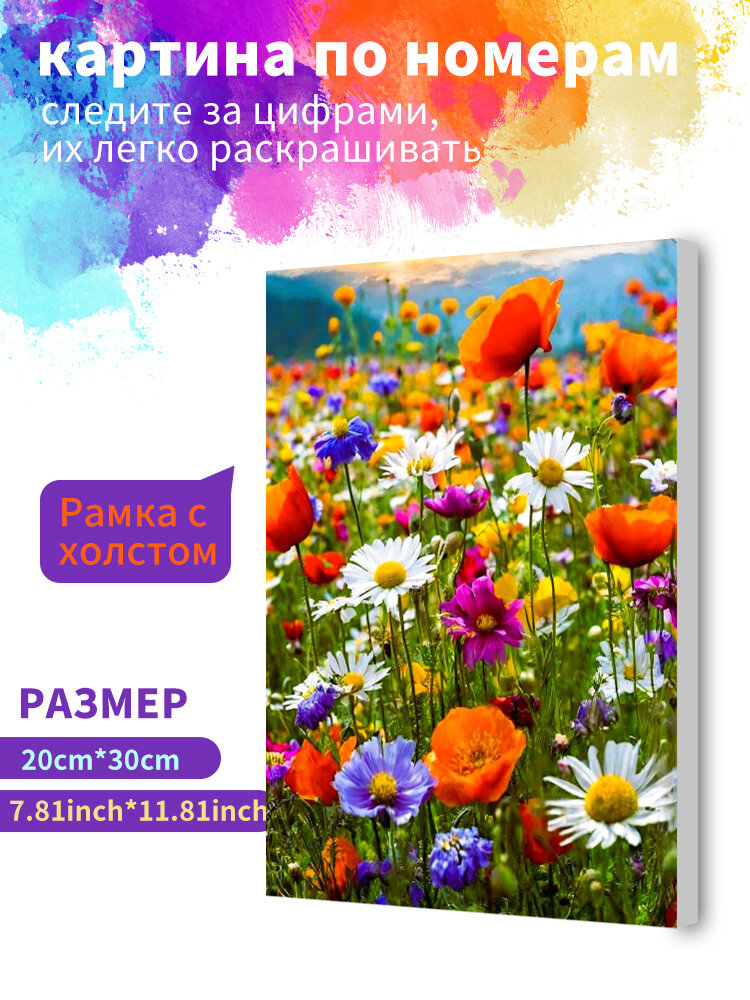 Картина по номерам на холсте с подрамником 20х30 "Яркие полевые цветы" / набор для творчества полевые цветы рисование по номерам 20x30