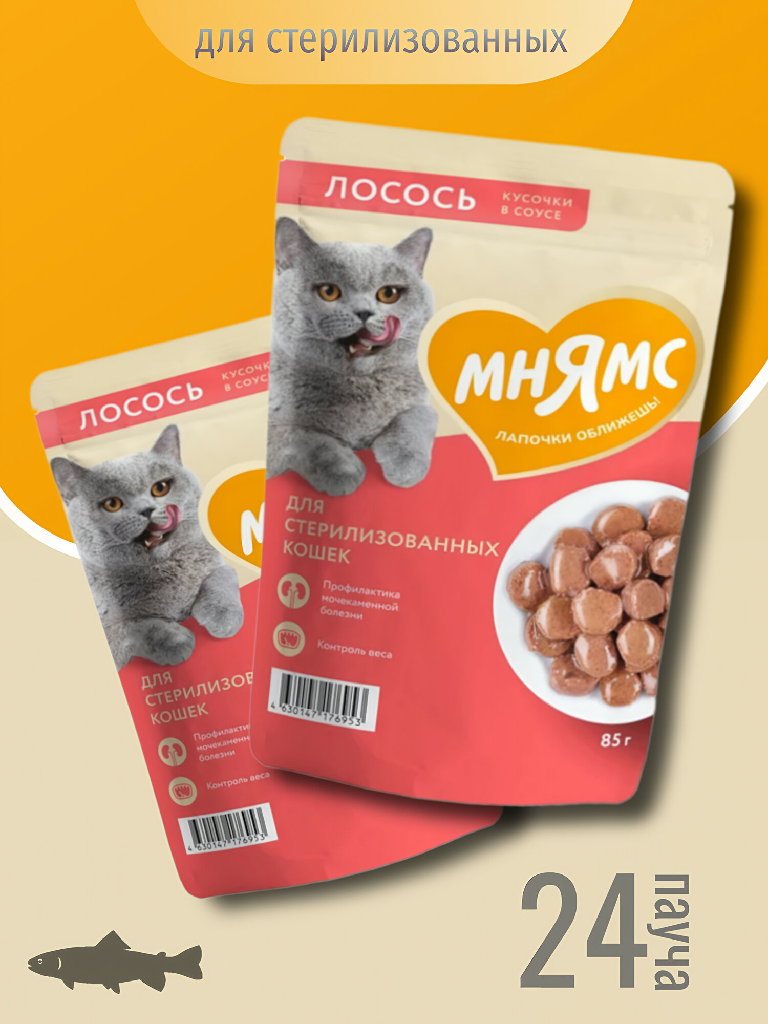 Влажный корм Мнямс На каждый день Кусочки в соусе с лососем для стерилизованных кошек 24 шт по 85 г