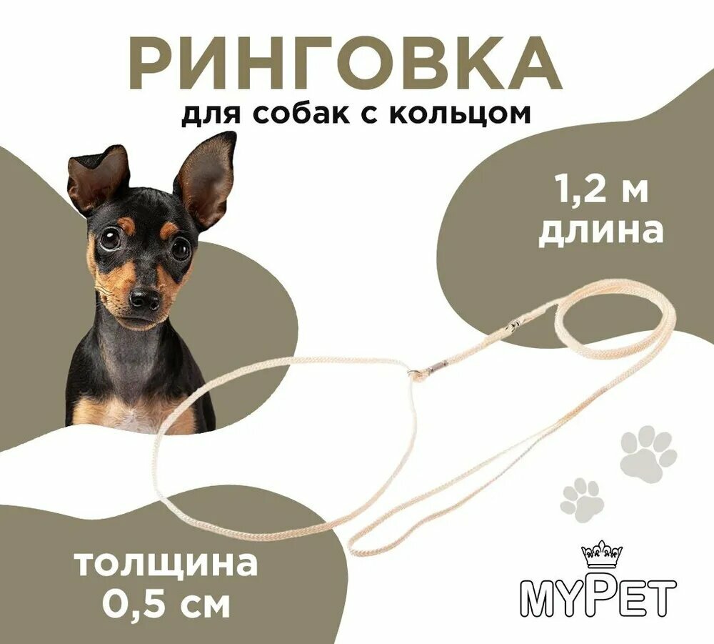 MyPet Ринговка для выставки и груминга / поводок удавка для собак с кольцом / ошейник для прогулки