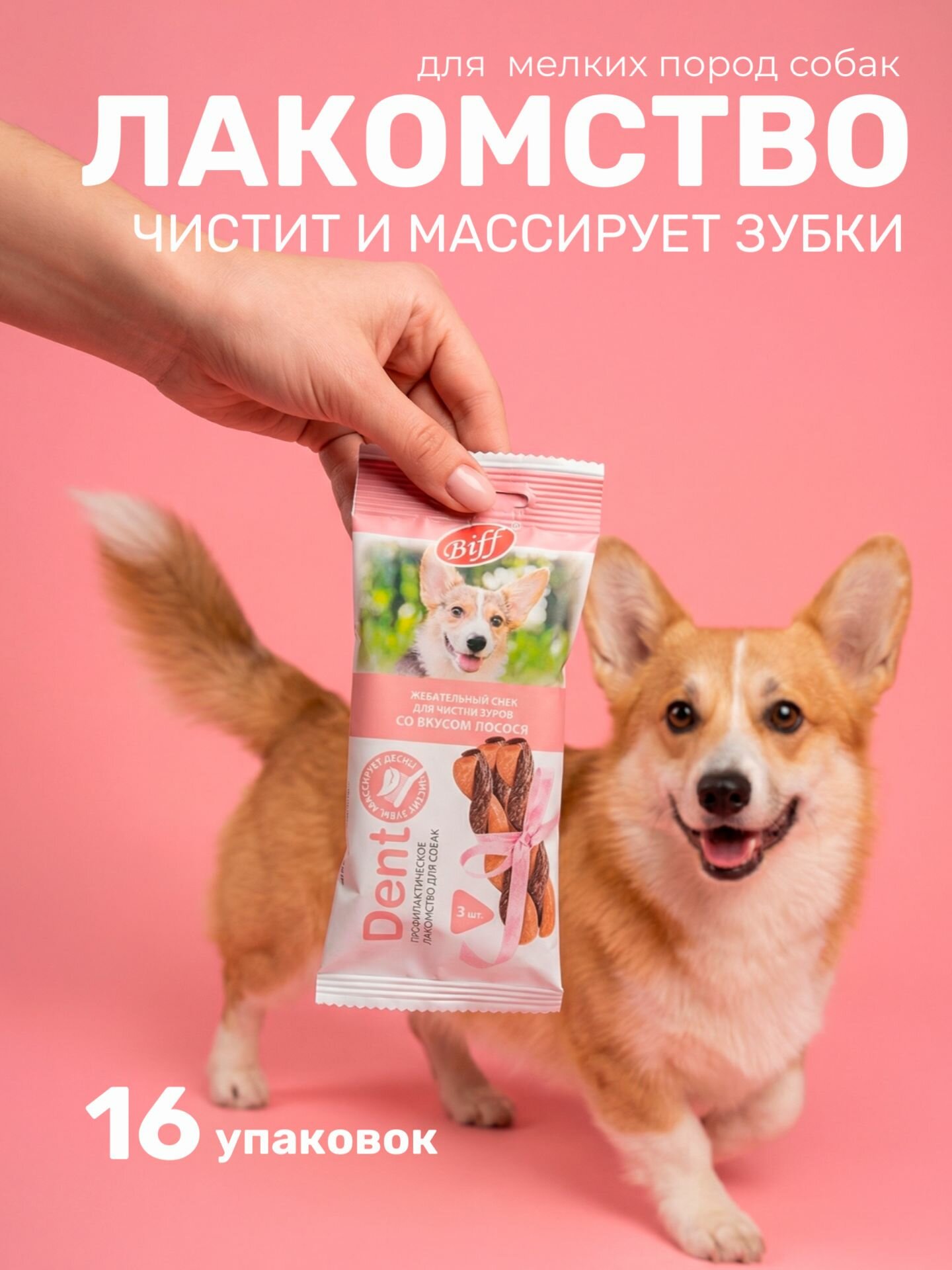 Бифф (Biff) жевательный снек Dent 0,04кг для чистки зубов со вкусом лосося для собак мелких пород (3 шт)