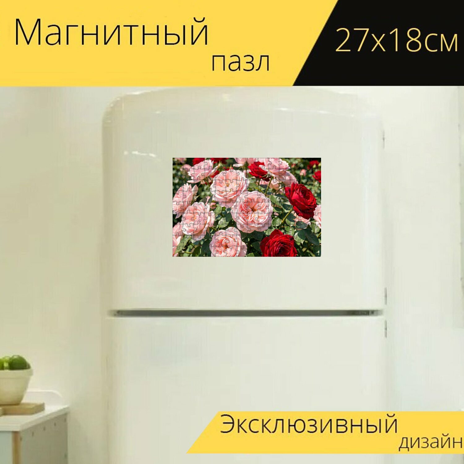 Магнитный пазл "Розовый сад с красными розами. Цветущий куст с крупными нежно-розовыми и алыми бутонами, сочная зелень, летний солнечный день, яркие." на холодильник 27 x 18 см.