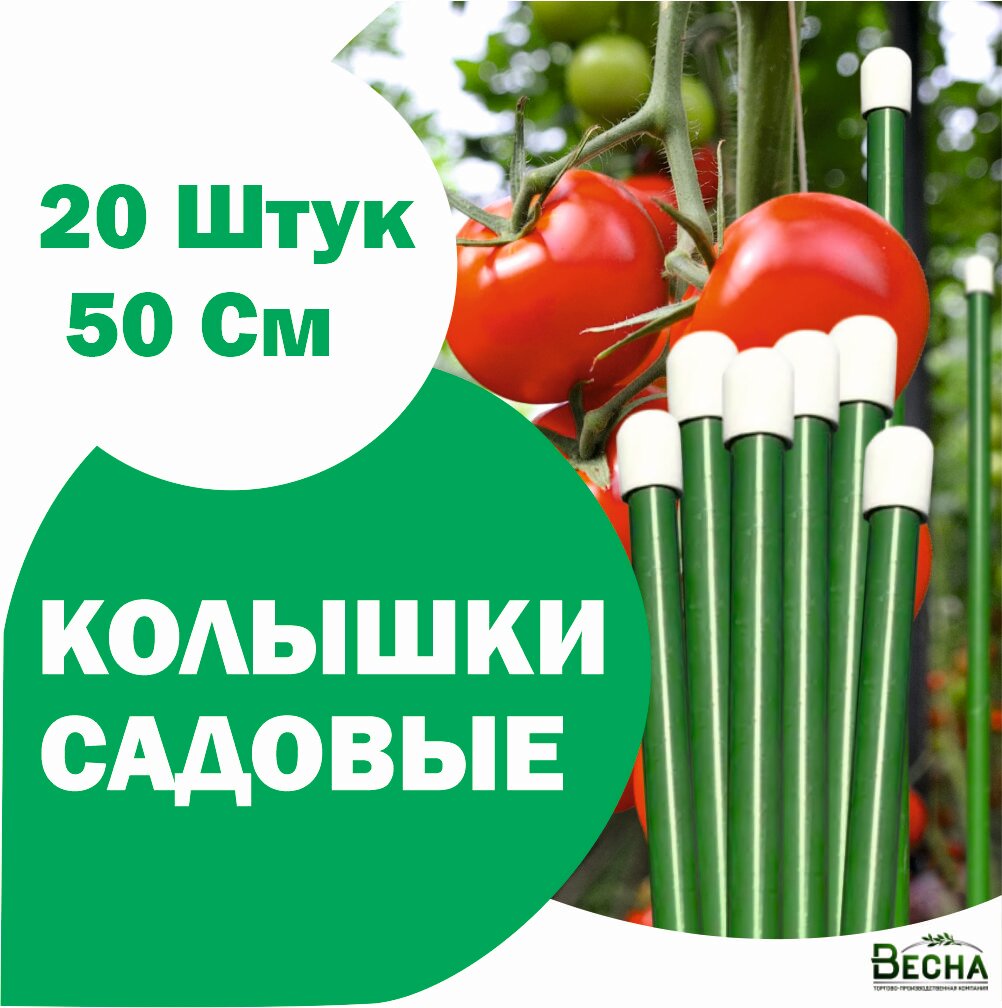 Колышки садовые "Весна" (20 шт. по 0,5 м) для подвязки томатов / огурцов и других растений, опора для растений
