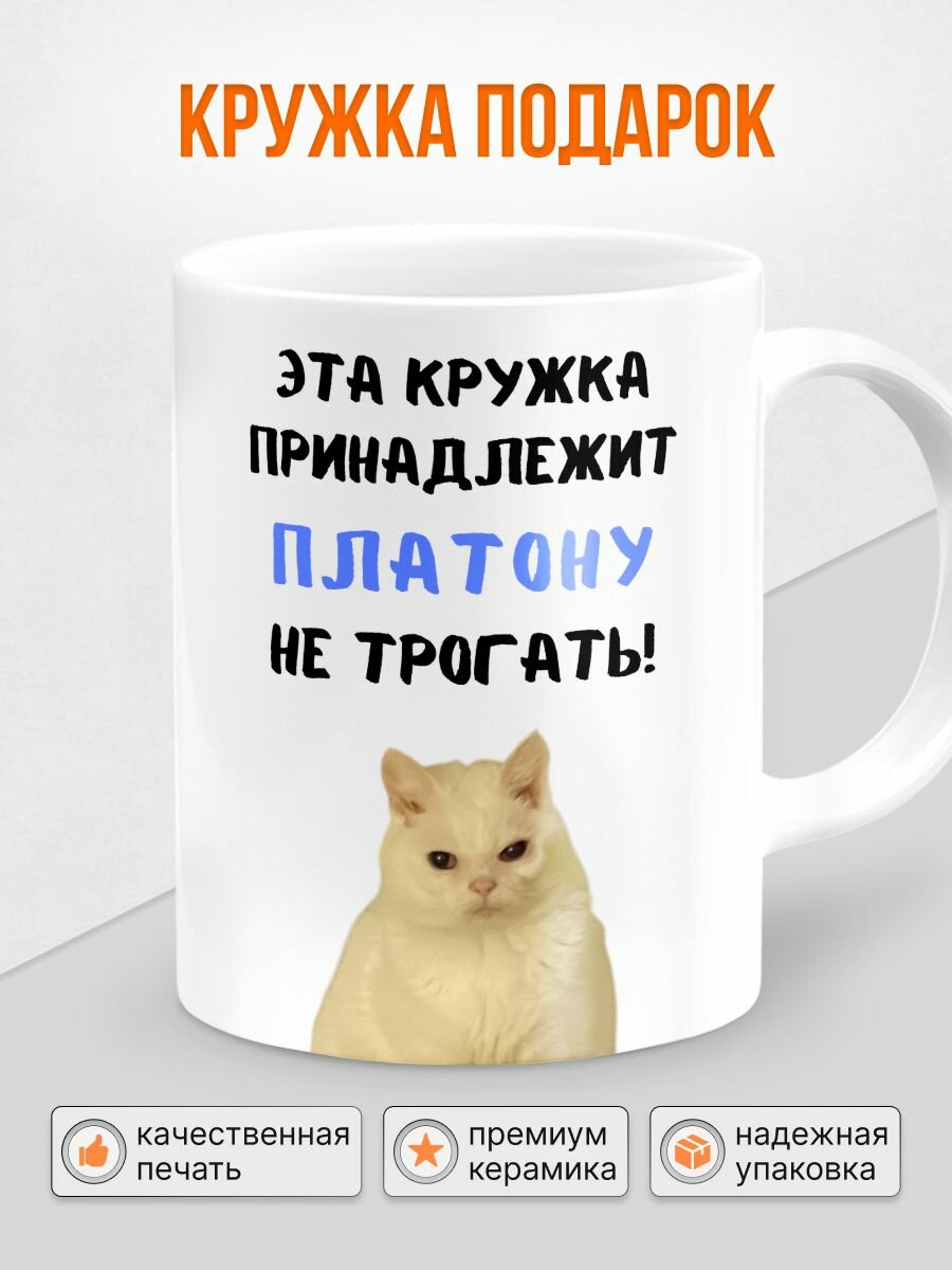Кружка с приколом с котиком с именем Платон, 330 мл, 1 шт.