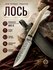Нож ручной работы "Лось", японская нержавеющая сталь AUS-8