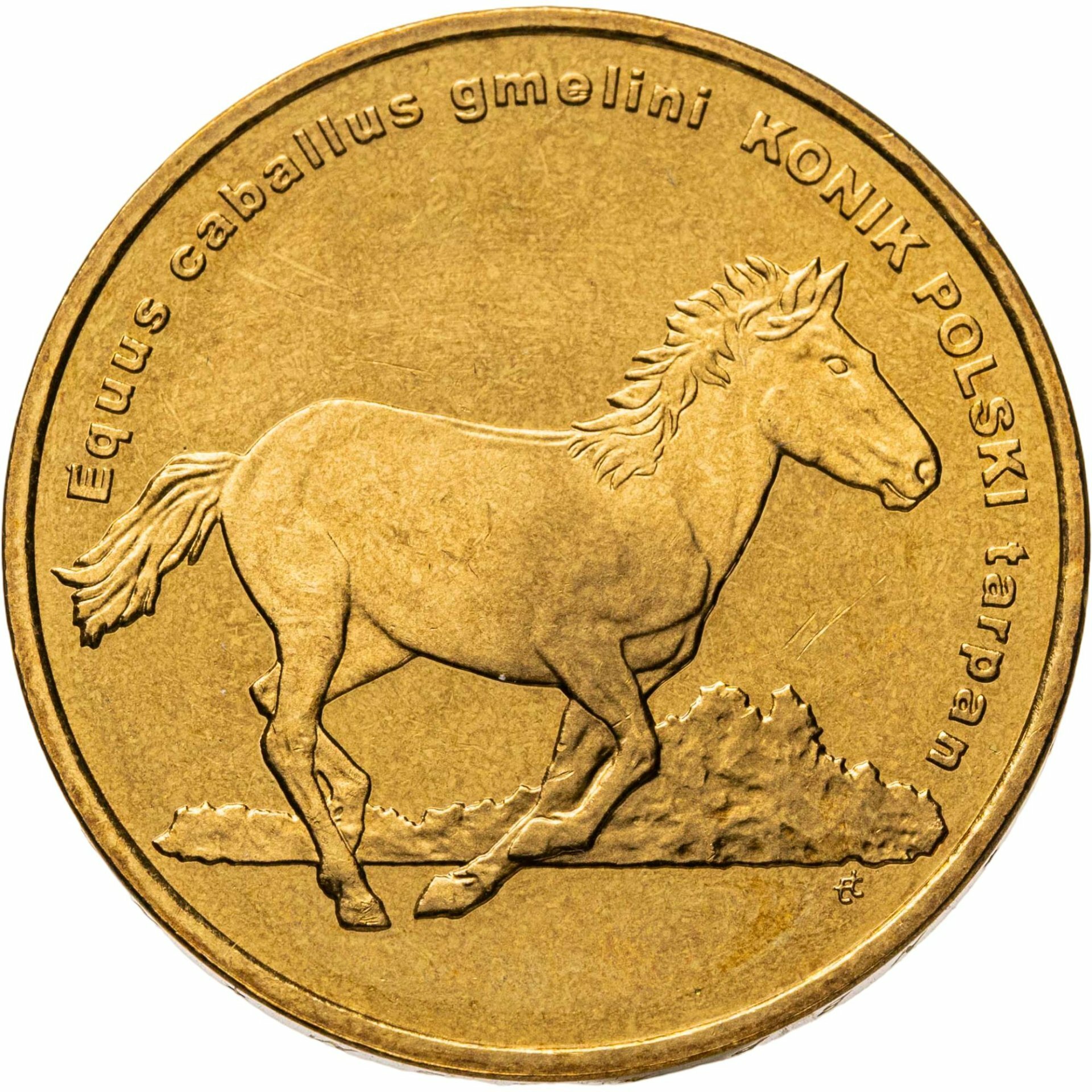Польша 2 злотых 2014 "Польский коник", Латунь, в сохранности UNC
