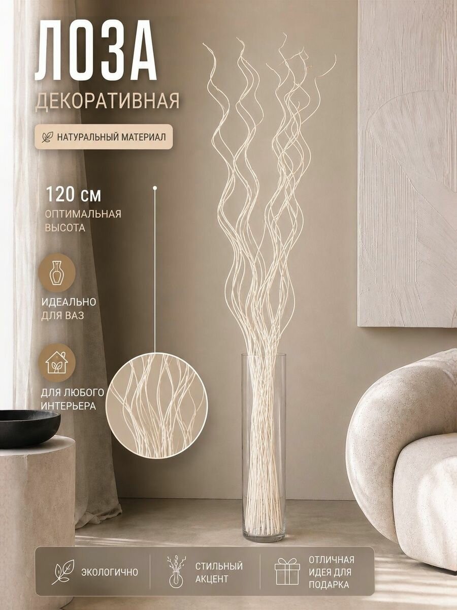 Ветки декоративные "Лоза белая" 120см