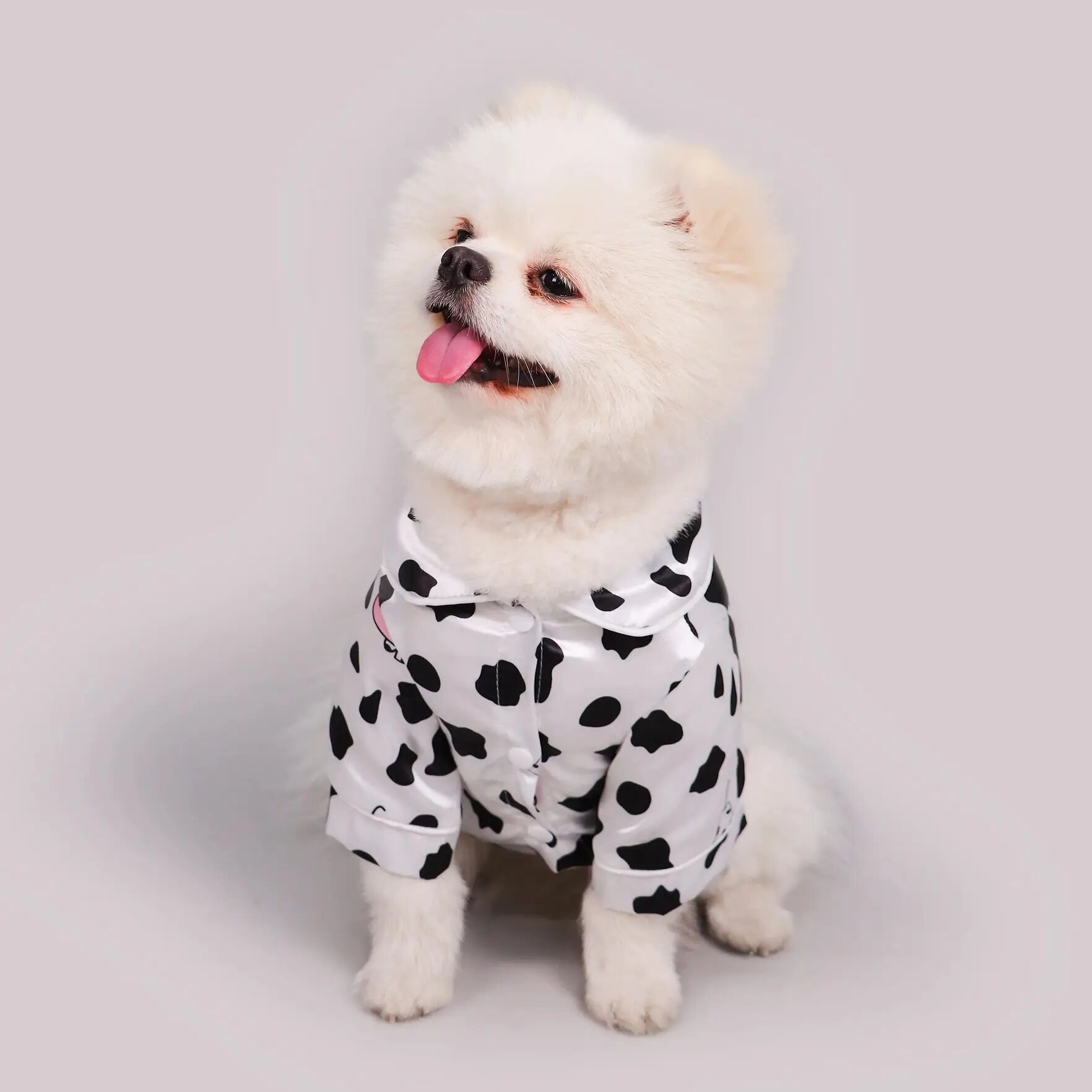 Футболка для собак с принтом леопарда, пчелы и коровы Белый, Cow Pattern, S