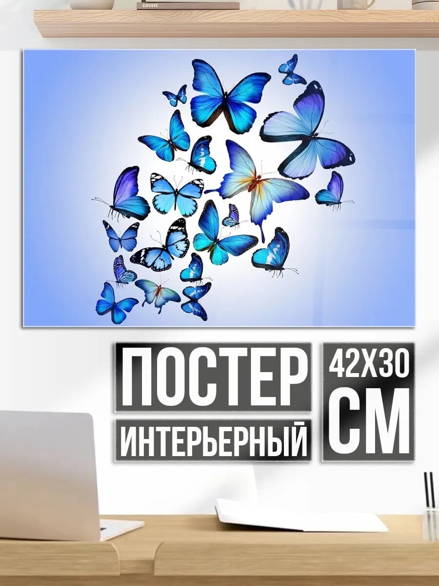 Плакат постер Стая синих бабочек
