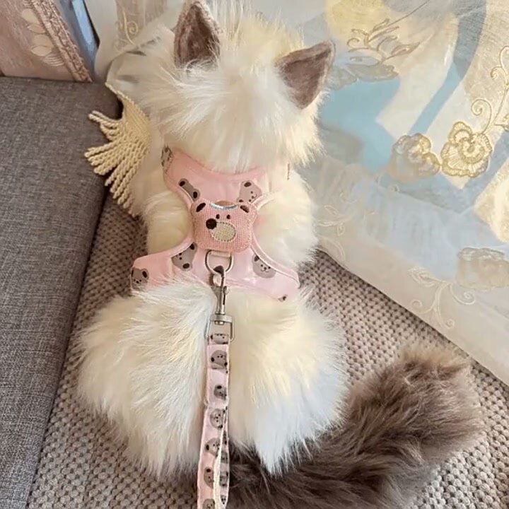 Поводок для кошки — фото 1