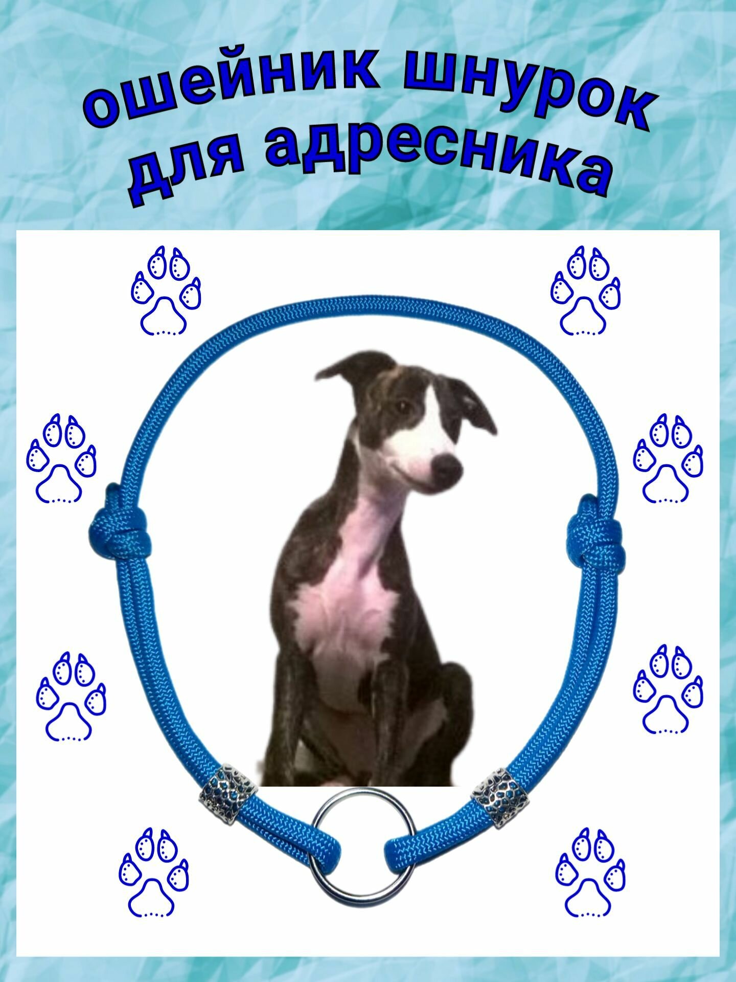 Ошейник шнурок для адресника для кошек и собак из паракорда, размер XS (18-30 см.)