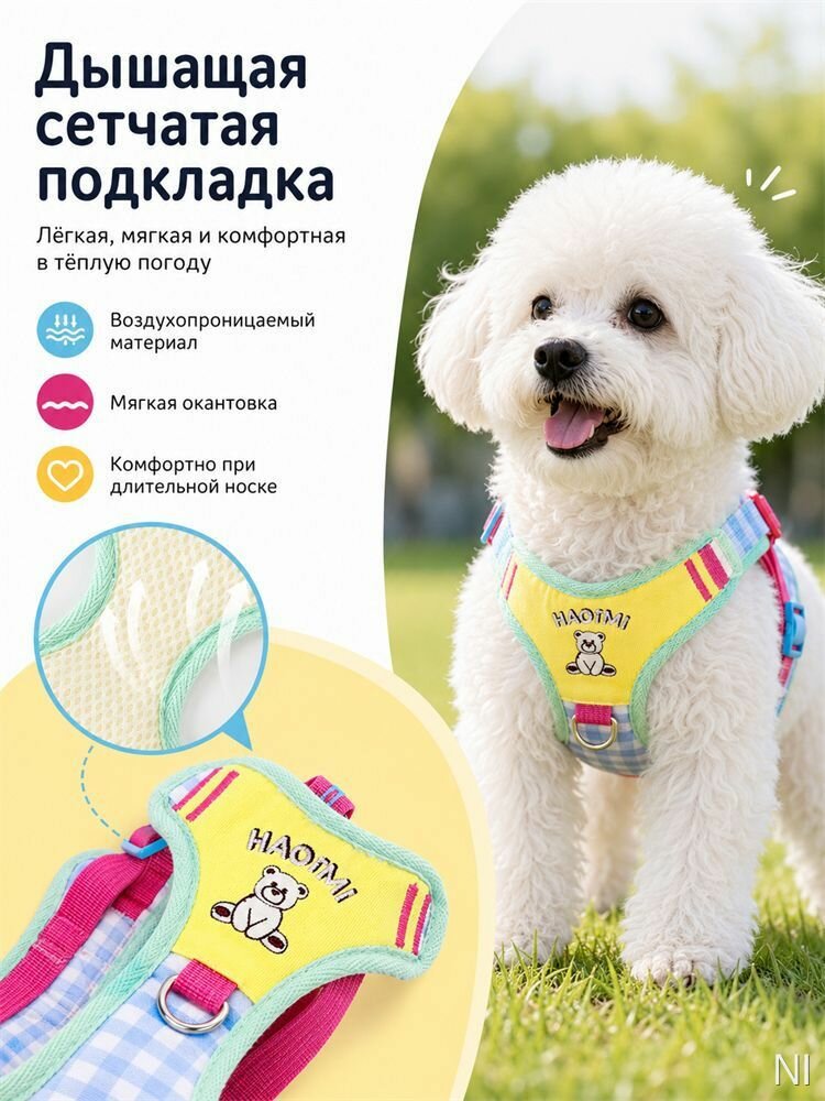 Шлейка NI с поводком, желто-голубая расцветка, мягкая посадка, для маленьких и средних собак — фото 1