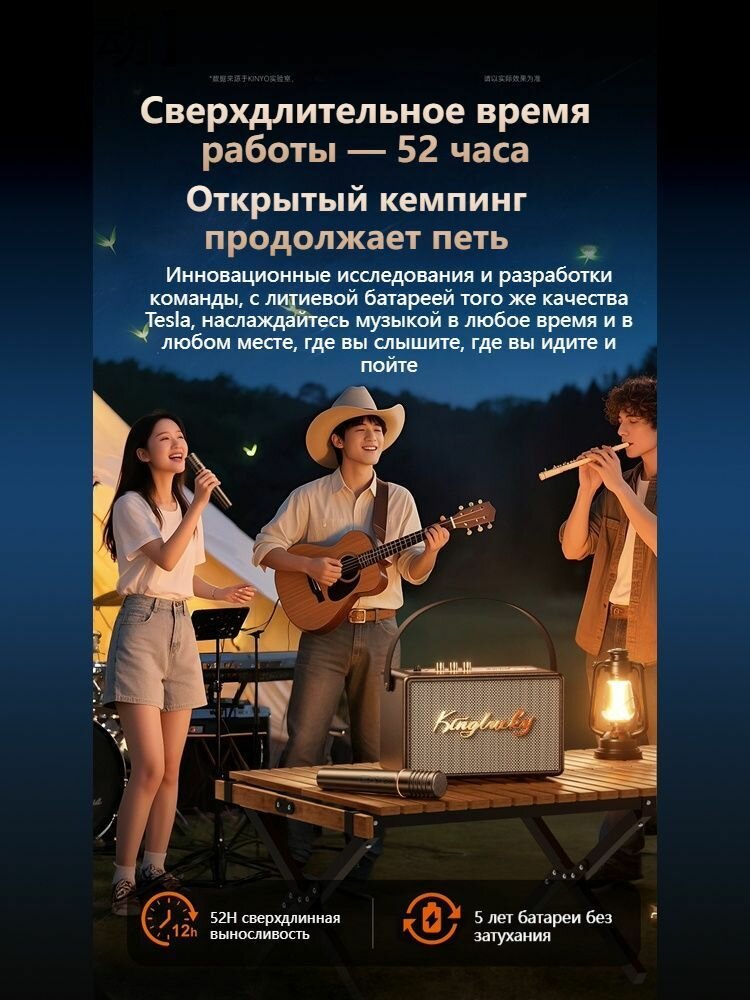 Караокесистема премиум — фото 1