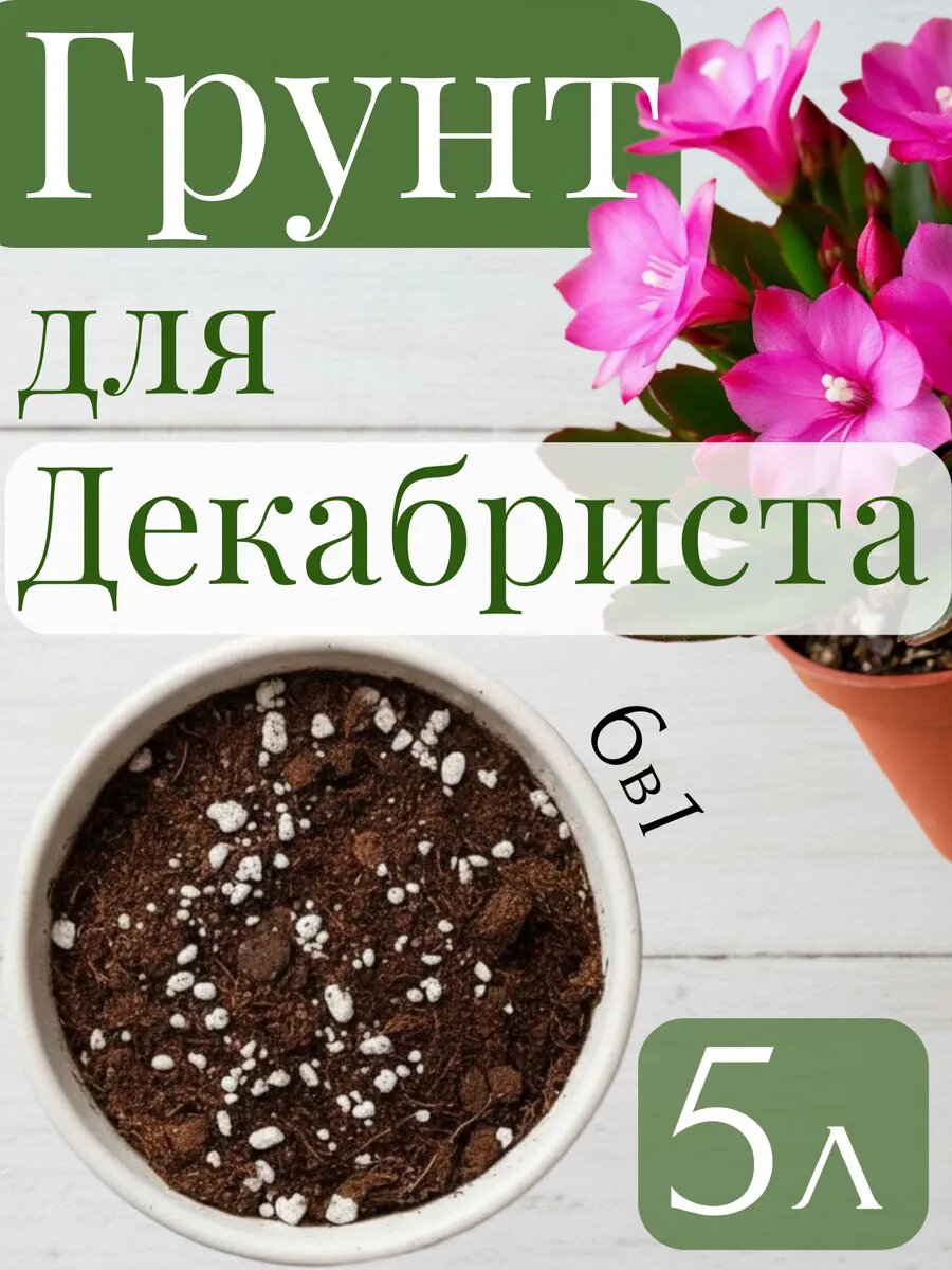Готовый грунт для Декабриста Шлюмбергера 5 литров