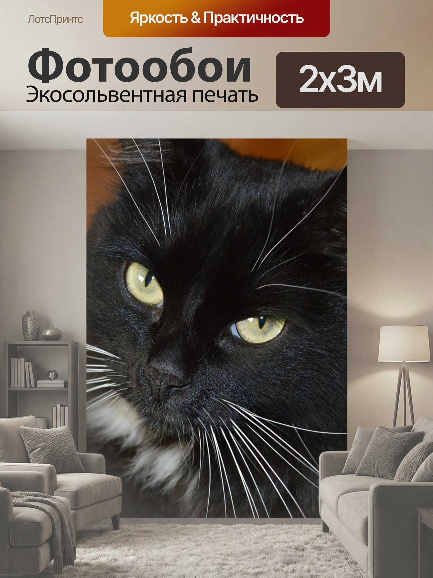 Фотообои "Кот, кошка, кошачий взгляд" 200x300 см. экосольвентная печать