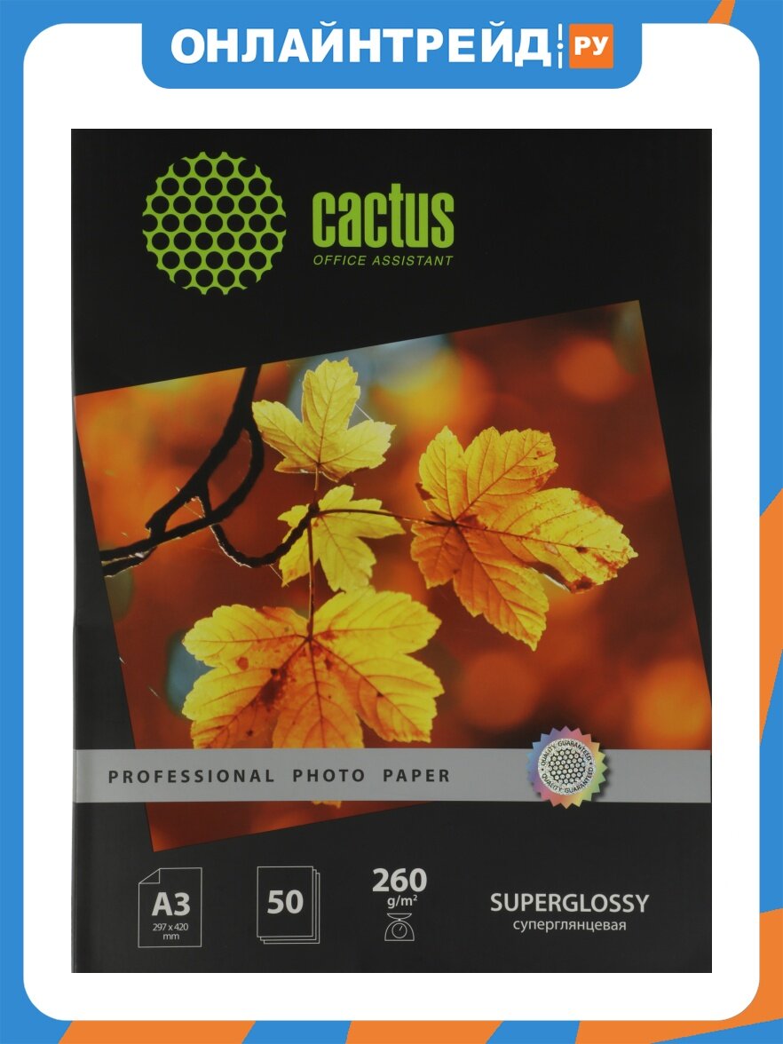 Фотобумага Cactus CS-MA414050ED A4/140г/м2/50л./белый матовое для струйной печати