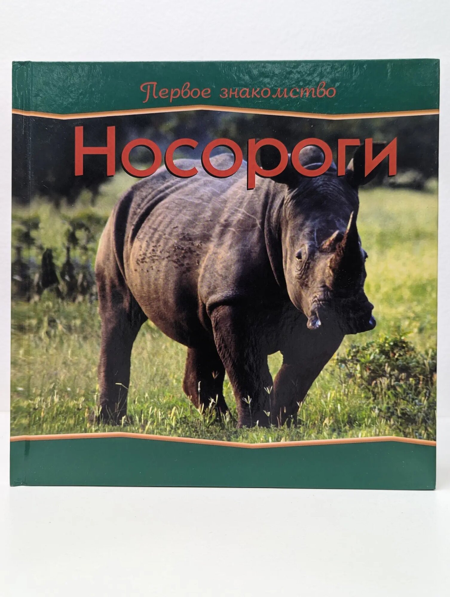 Первое знакомство. Носороги Сборник 2008