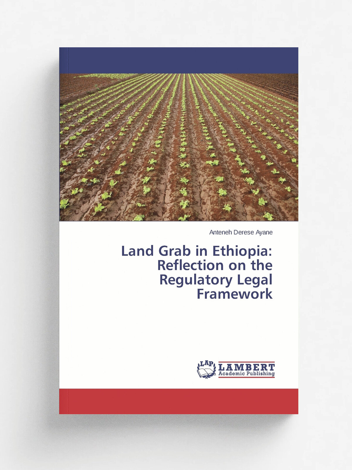 Land Grab in Ethiopia. Reflection on the Regulatory Legal Framework