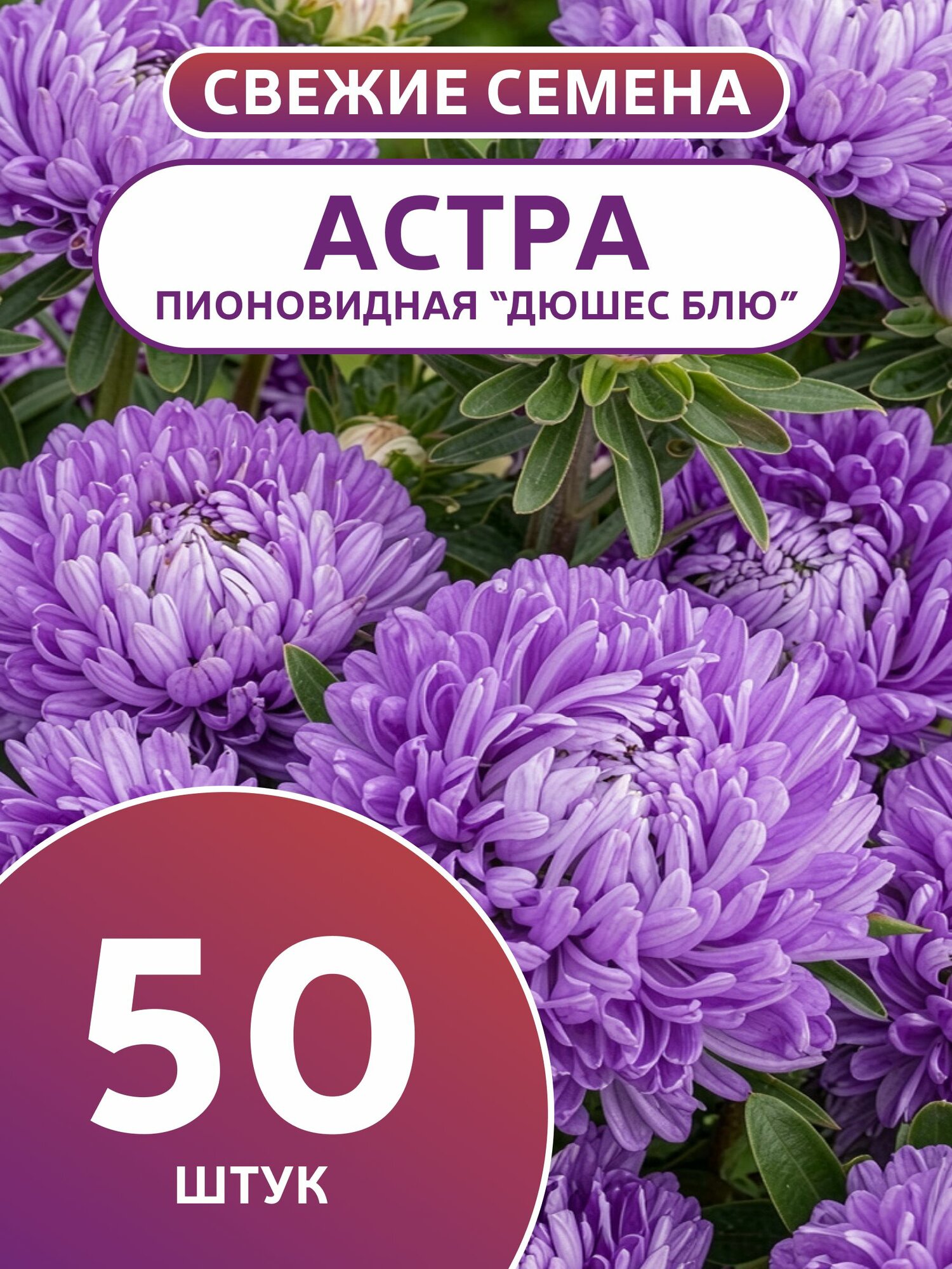 Астра пионовидная семена для выращивания 50 шт