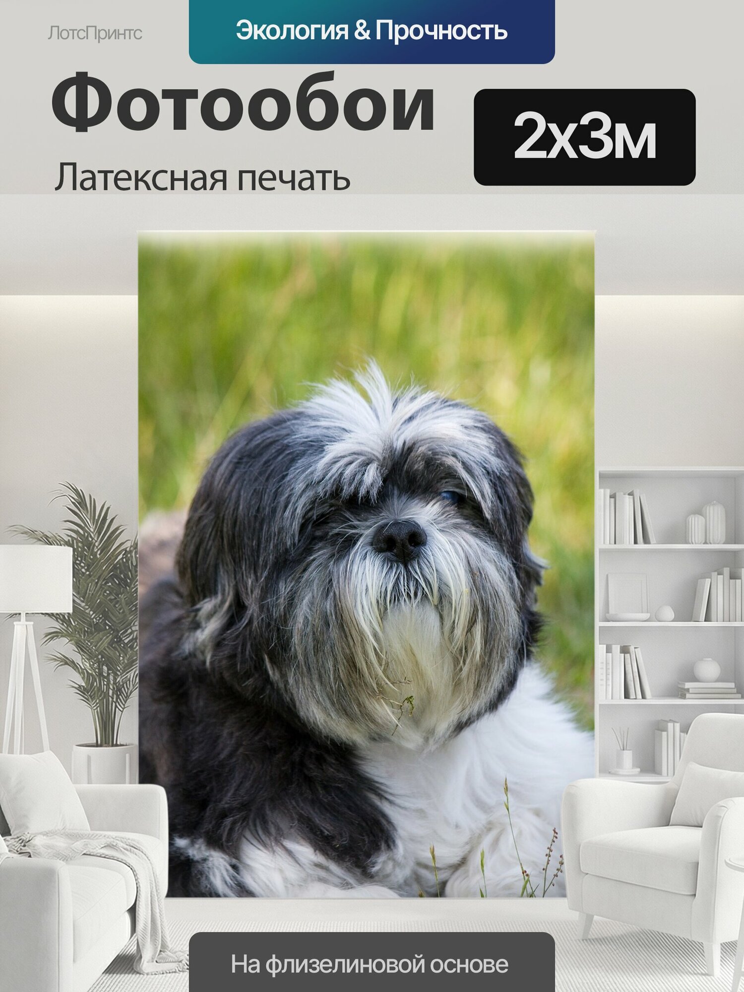 Фотообои моющиеся ударопрочные "Ши тцу, собака, собачий" 200x300 см. латексная печать