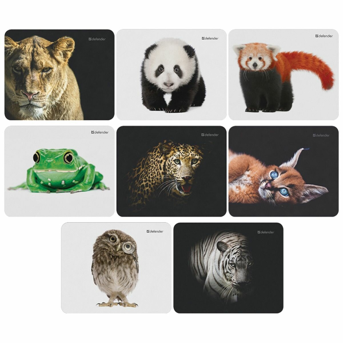 Коврик для мыши Defender Wild Animals, резина+джерси, 8 видов (50803)