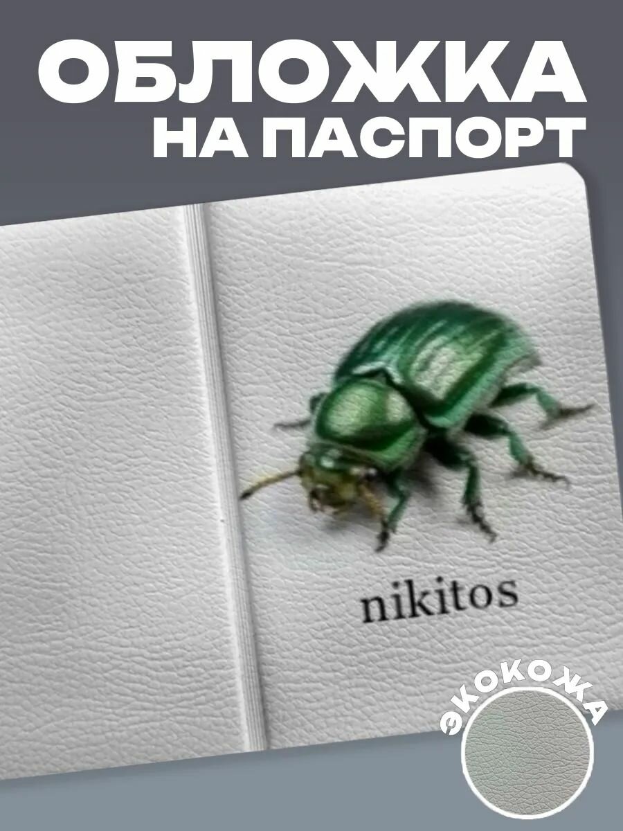 Обложка для паспорта