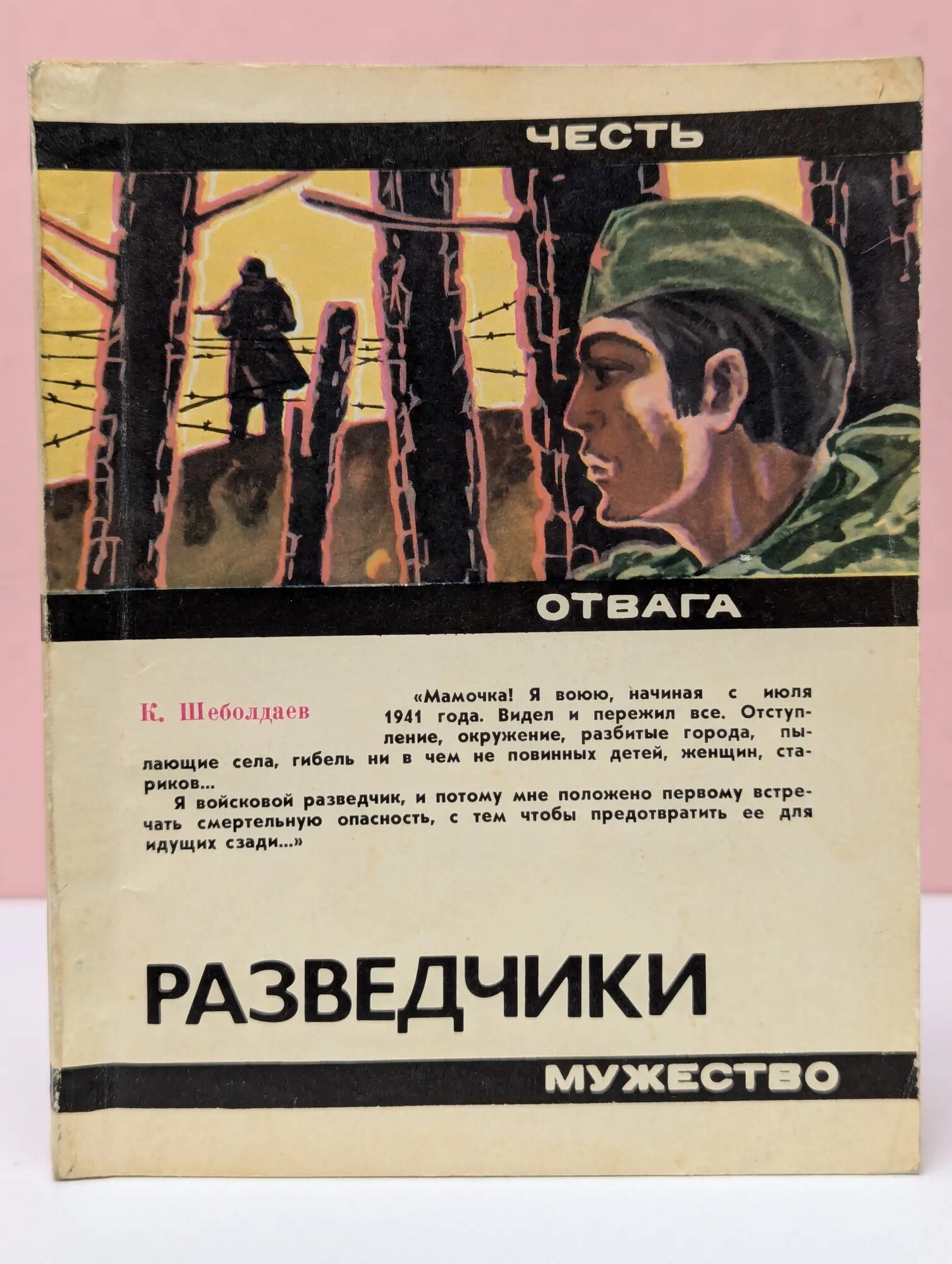 Разведчики Шеболдаев Кир Дмитриевич 1978