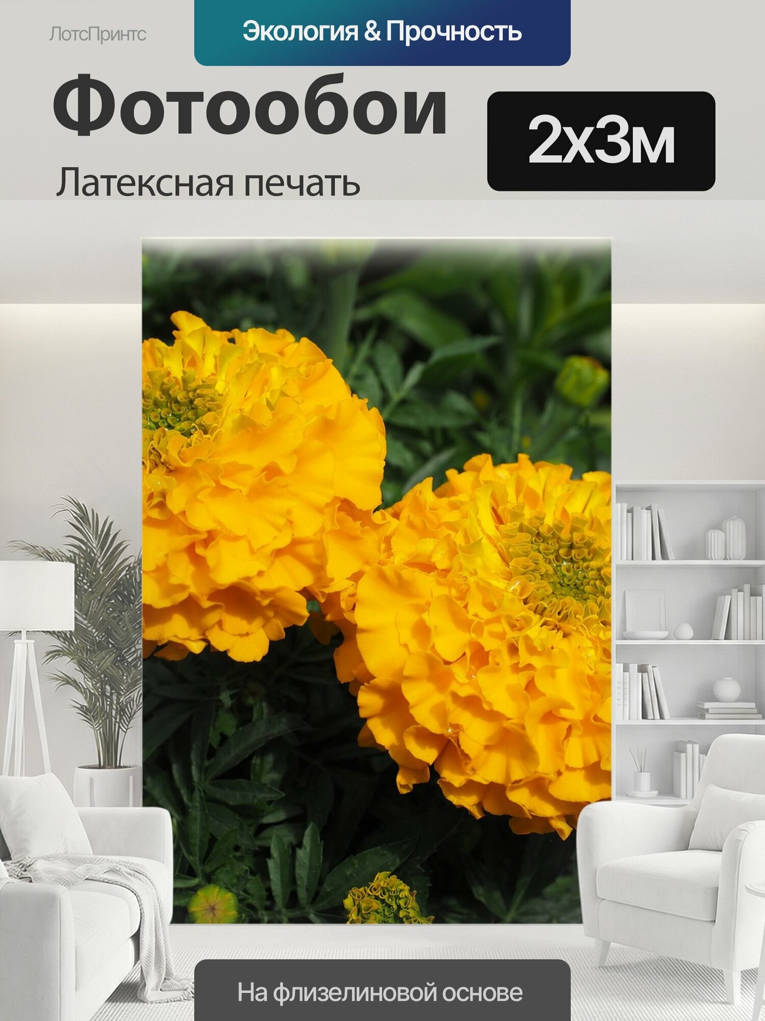 Фотообои моющиеся ударопрочные "Бархатцы, цветок, цвести" 200x300 см. латексная печать