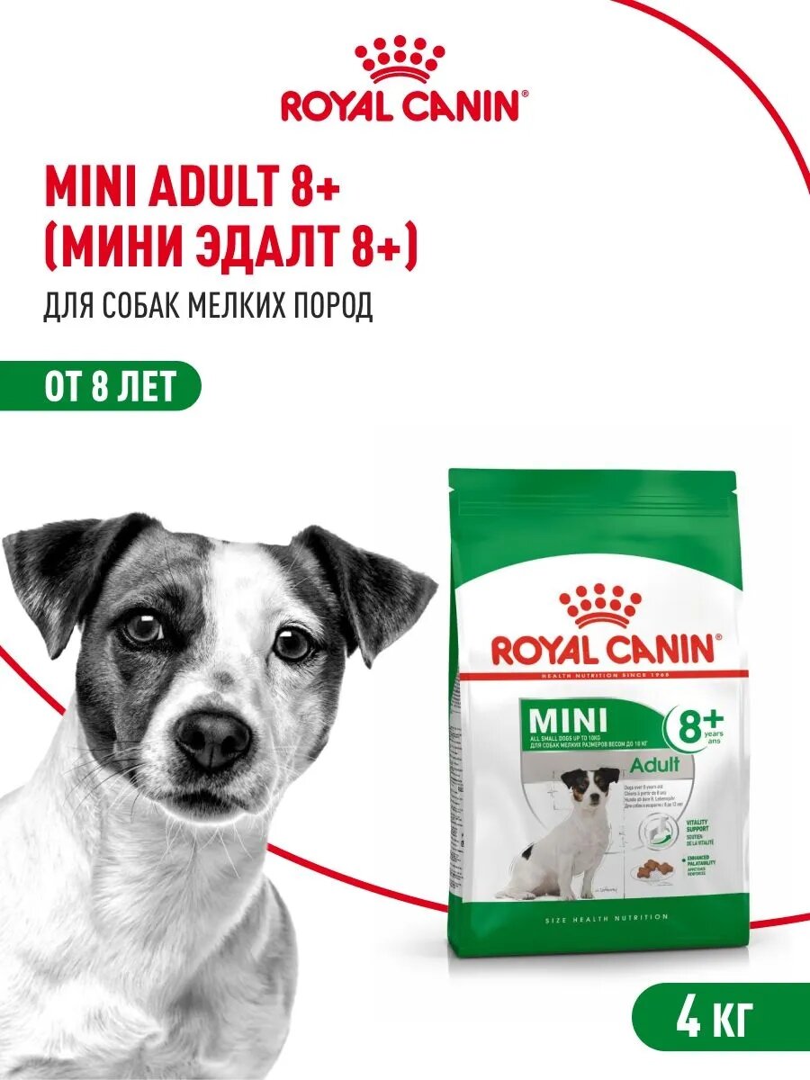 Сухой корм ROYAL CANIN Mini Adult 8+ для собак мелких пород с 8 до 12 лет , 4 кг