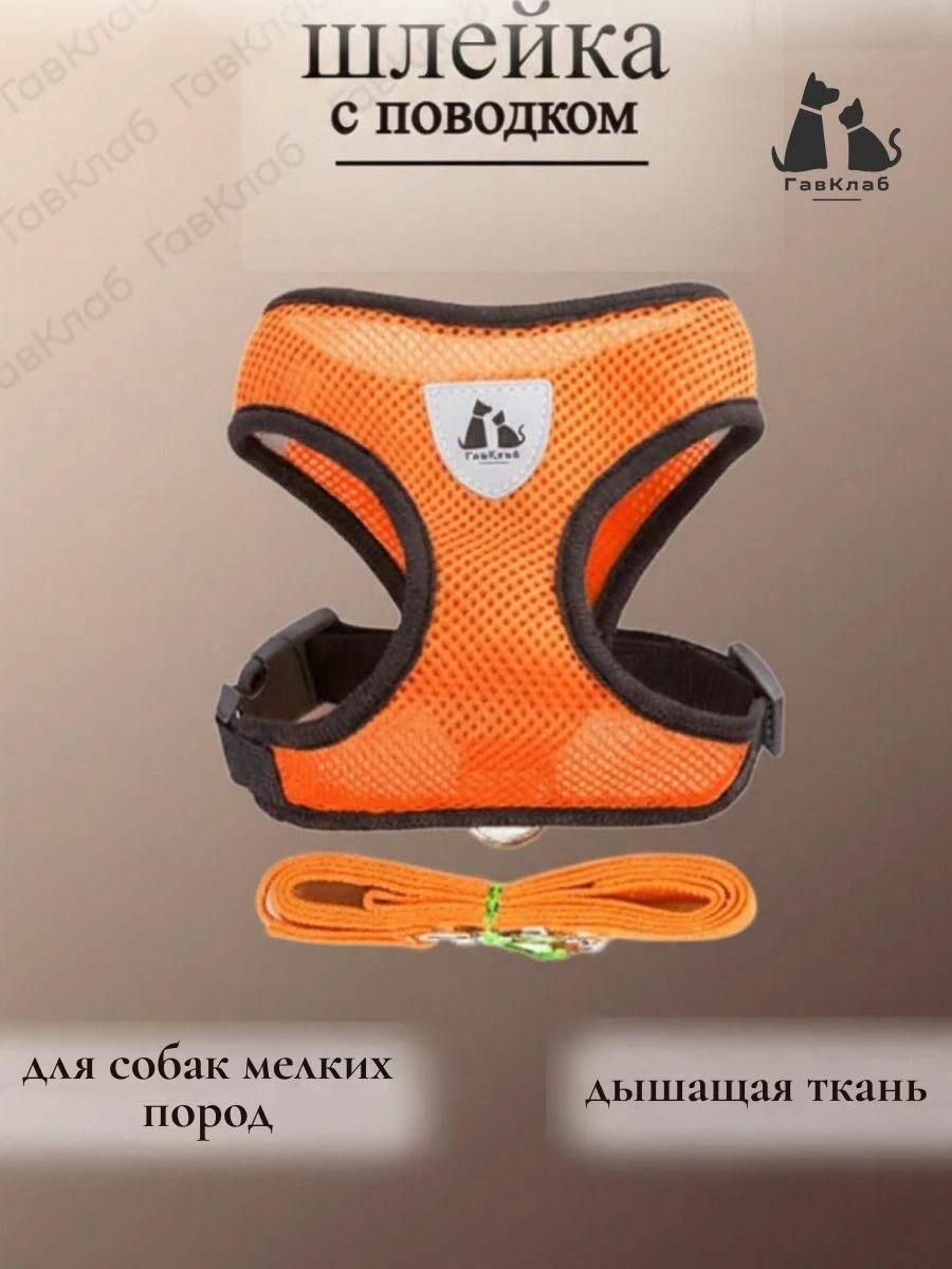Шлейка для собак мелких и средних пород с поводком для прогулок амуниция для выгула