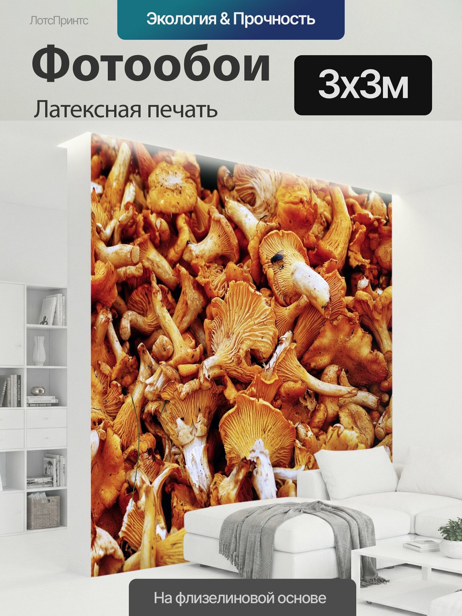 Фотообои моющиеся ударопрочные "Гриб, pfiffer, лисичка" 300x300 см. латексная печать