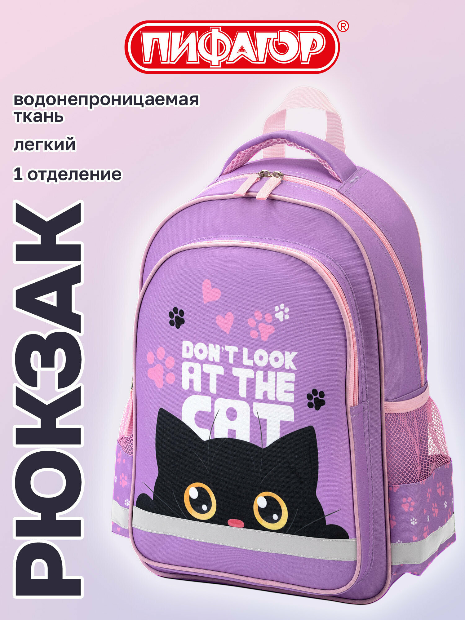 Рюкзак школьный для девочки, ранец для подростка, портфель, 1 отделение и 3 кармана, Пифагор Наблюдательный кот, 274437