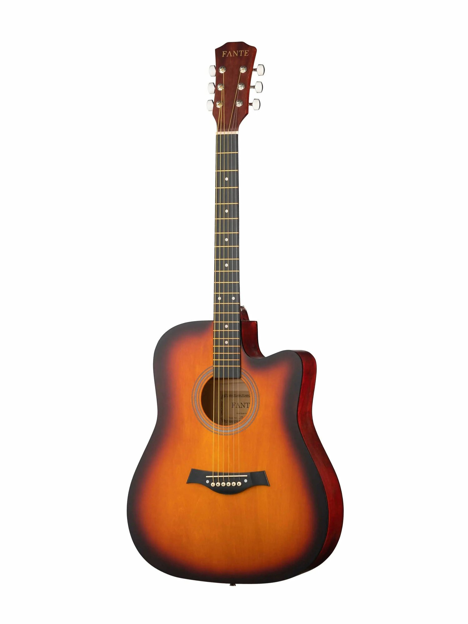 Fante Акустическая гитара FT-221