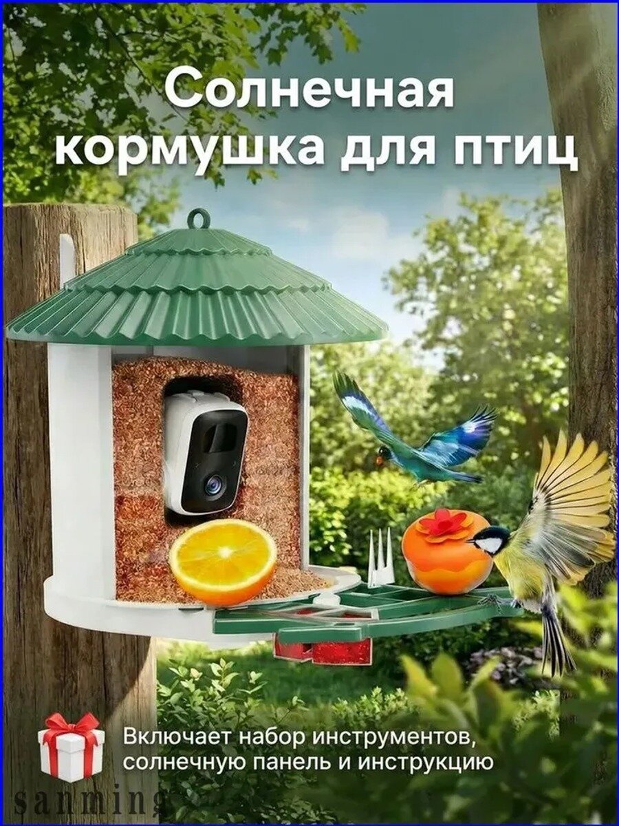 Умная кормушка для птиц с камерой и ИИ, солнечной панелью, распознаванием 11000 видов, зеленая