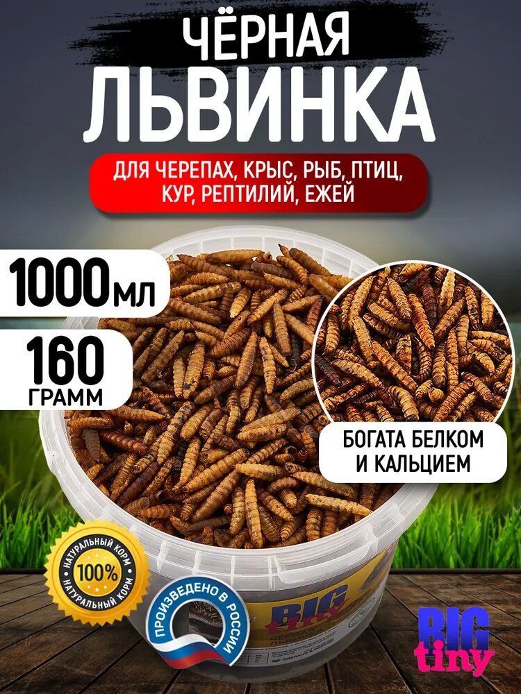 Черная львинка сушеная BIG tiny 1000 мл / 160 г корм для крыс, рептилий, ежей, черепах и птиц лакомство для хомяков, ящериц и попугаев.