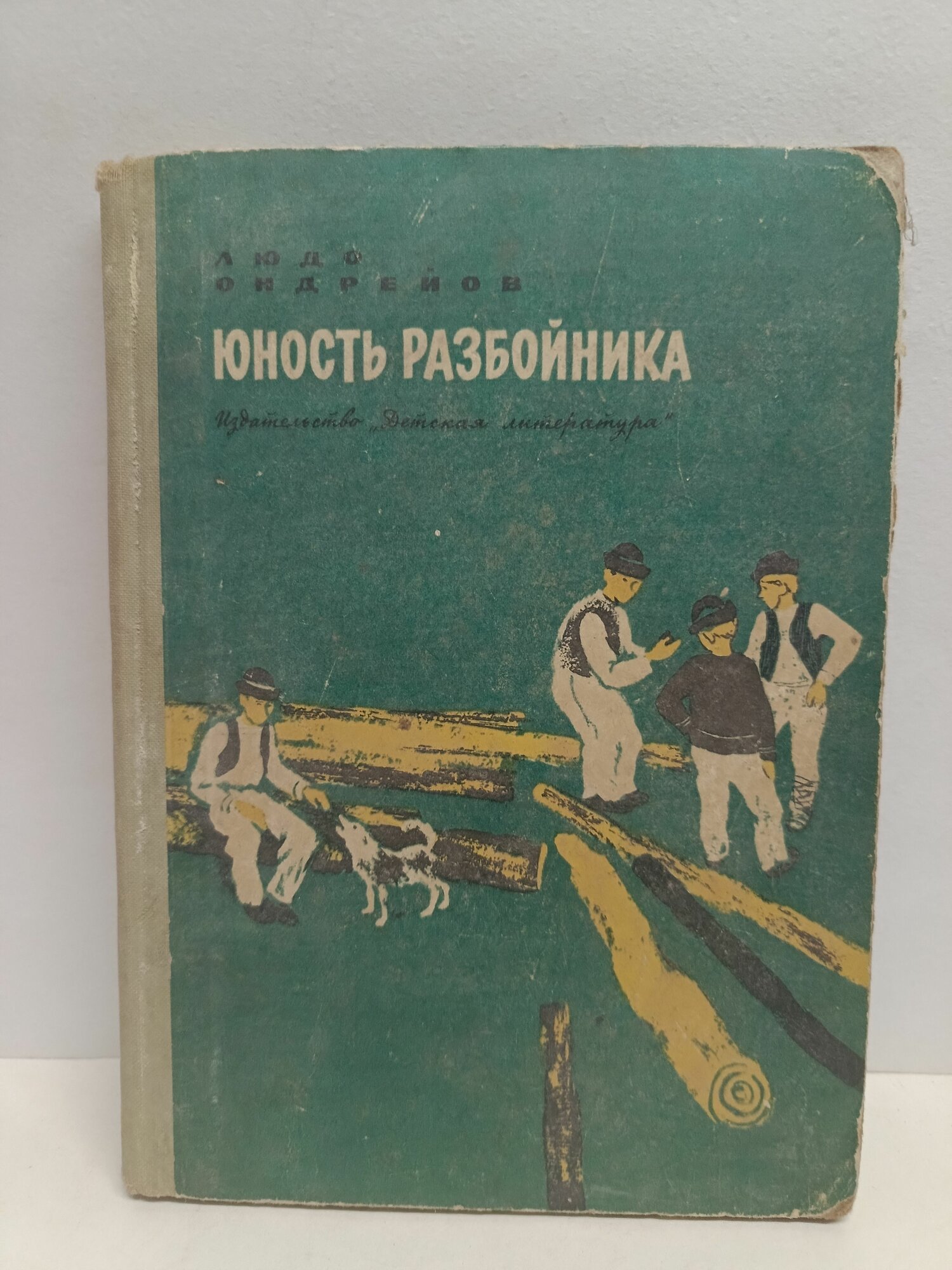 Юность разбойника