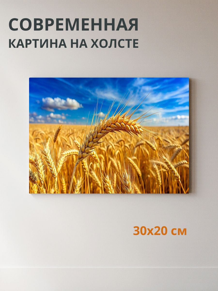 Картина на холсте Колосья пшеницы 30x20 см