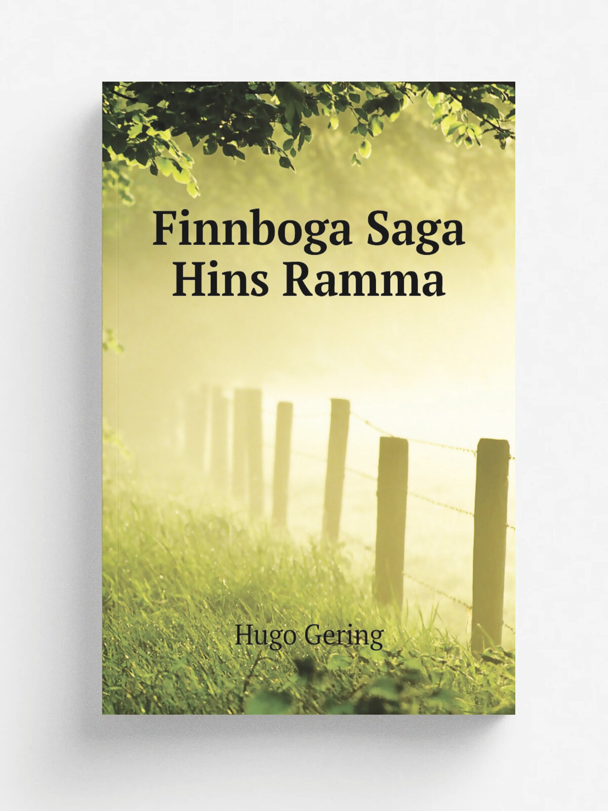 Finnboga Saga Hins Ramma