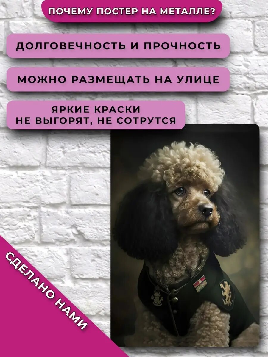 Постер Пудель — фото 1