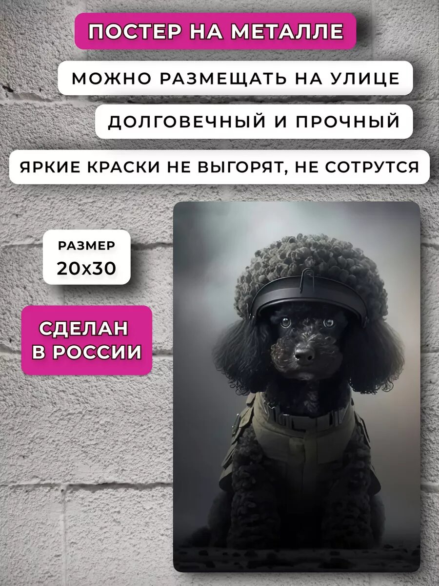 Постер Пудель — фото 1