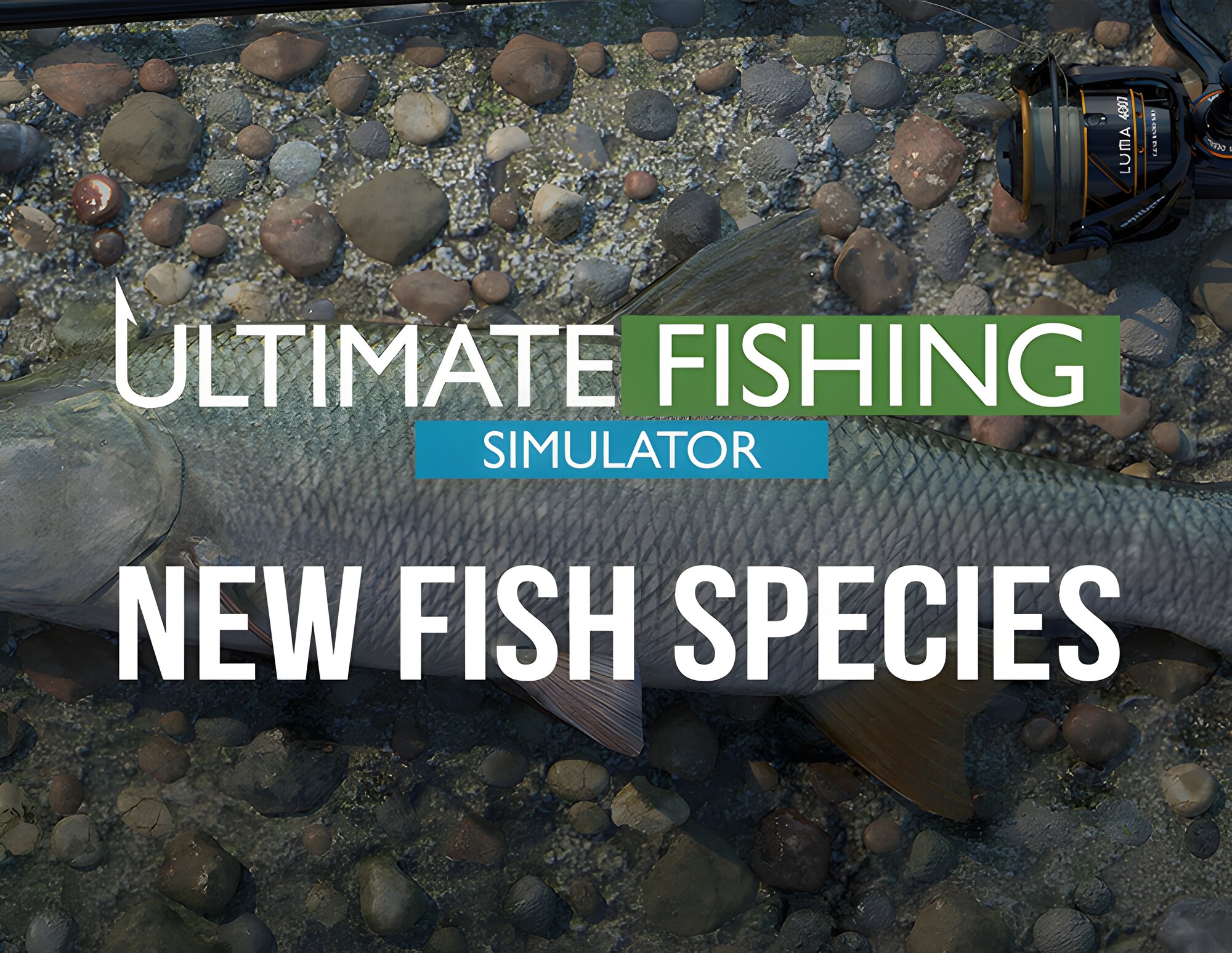 Ultimate Fishing Simulator - New Fish Species, Ultimate Games, цифровая версия, Steam (Для платформы PC)