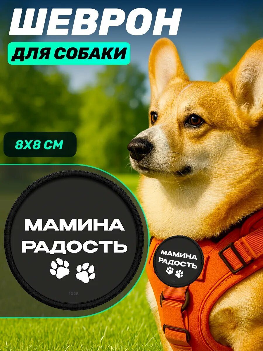 Шеврон на липучке для собак Мамина радость