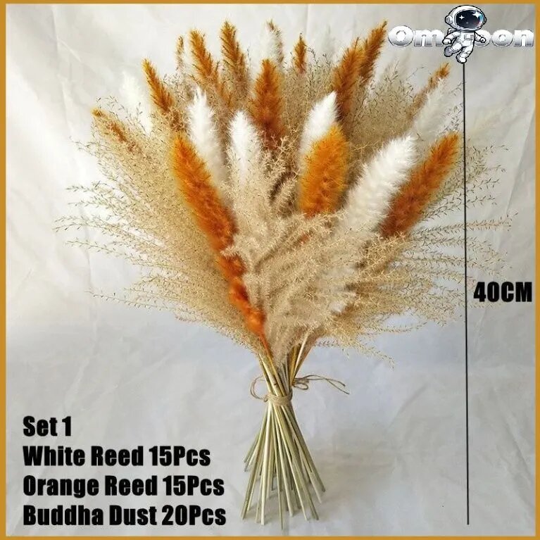 Сухоцветы Лагурус Set 1 - Белые и оранжевые тростники 15 шт, Buddha Dust 20Pcs 40см
