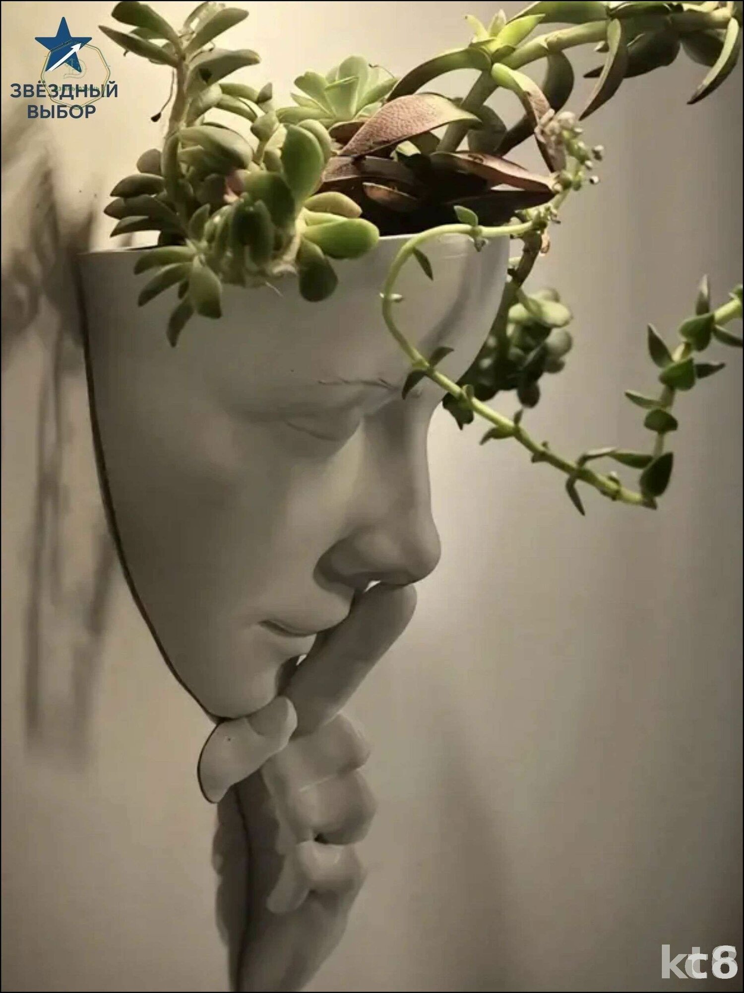 Креативный стеновой горшок для суккулентов Современный горшок с лицом и пальцем, идеальный подарок для новых домов