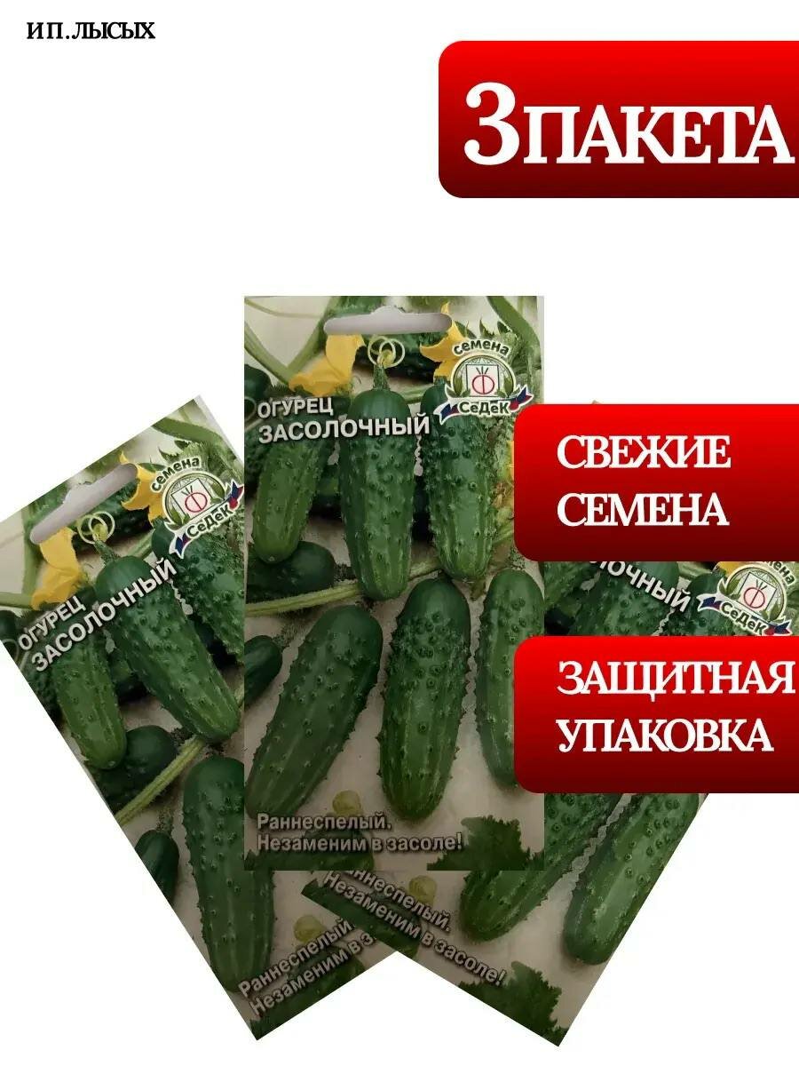 Семена Огурец "Засолочный"