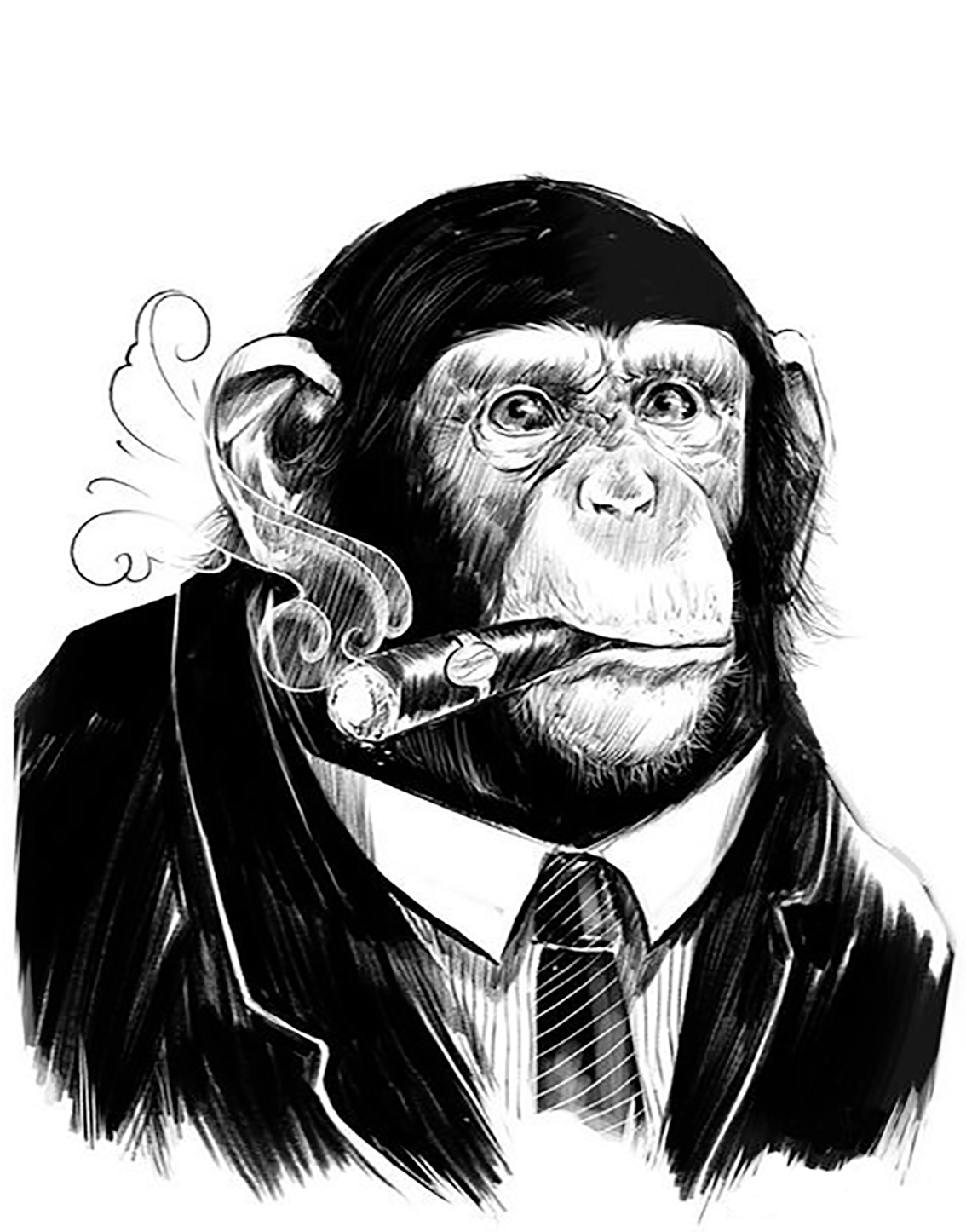 Картина по номерам "Шимпанзе", хлопковый холст на подрамнике 40х50 см, акрил, 000 Art Hobby Home